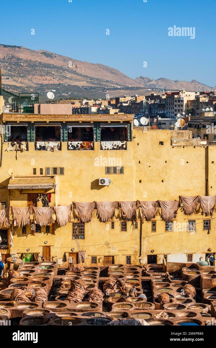 Famous skin tannery in Fes, Morocco, North Africa Stock Photo - Alamy