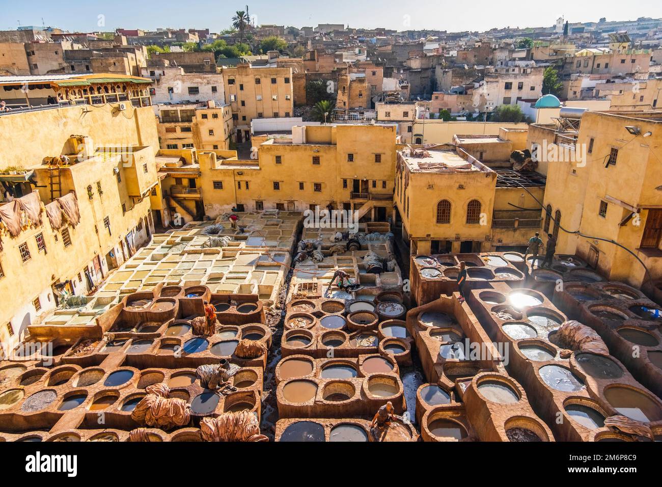 Famous skin tannery in Fes, Morocco, North Africa Stock Photo - Alamy