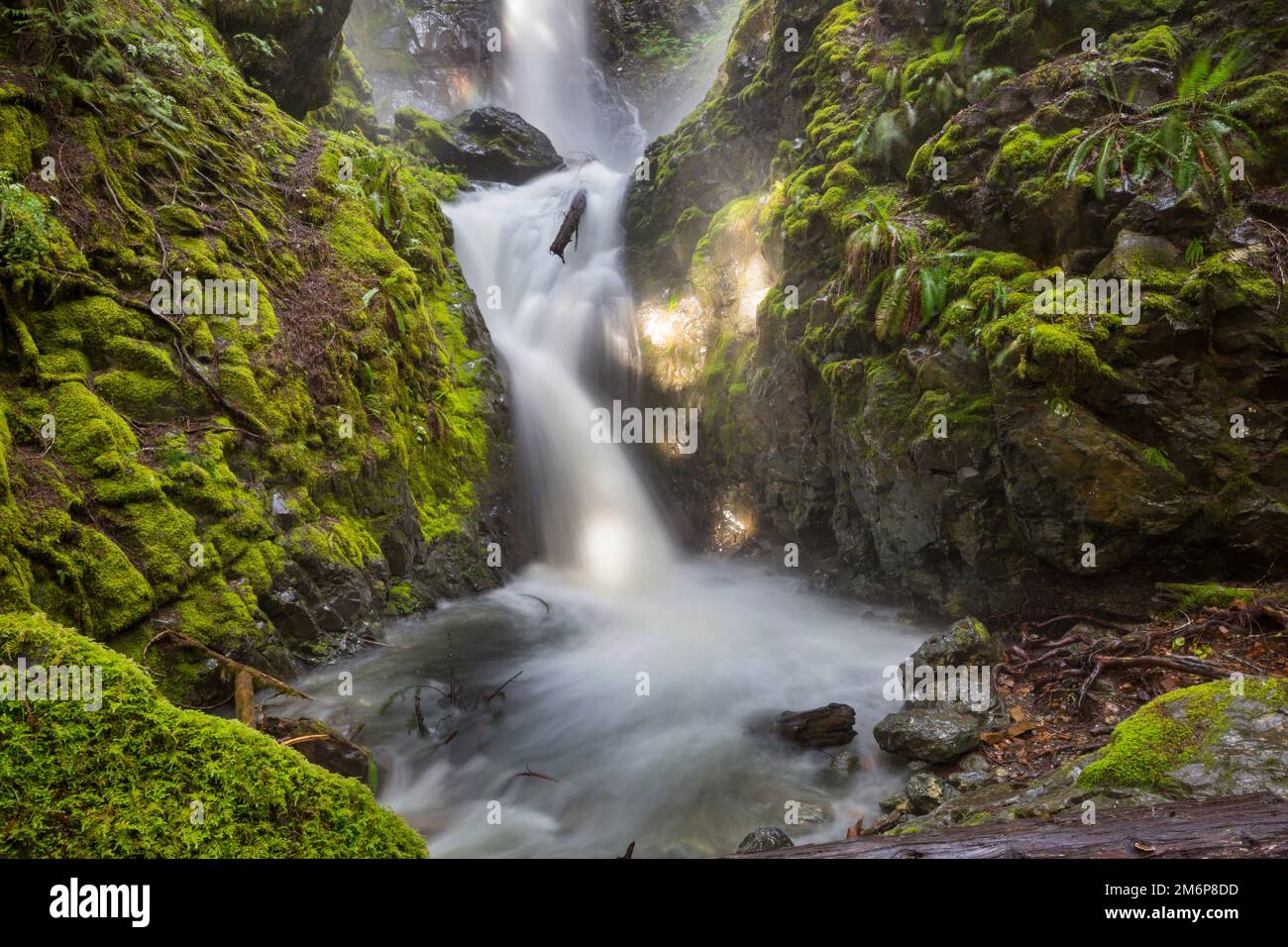 Waterfall in forest Stock Photo - Alamy