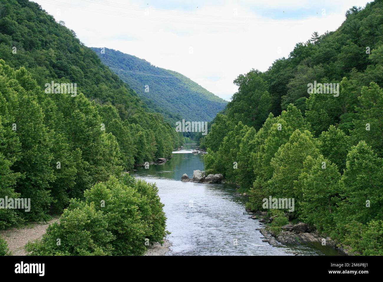 A river surrounded by green trees Stock Photo - Alamy