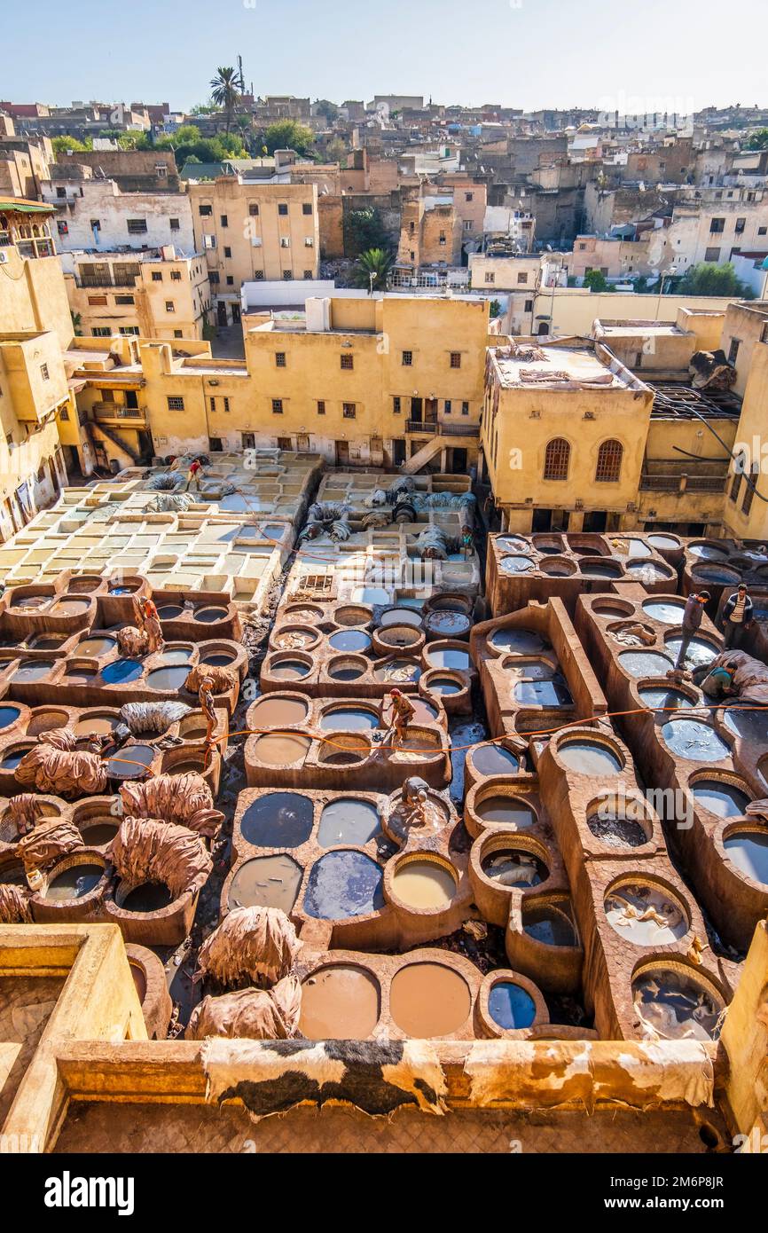 Famous skin tannery in Fes, Morocco, North Africa Stock Photo - Alamy