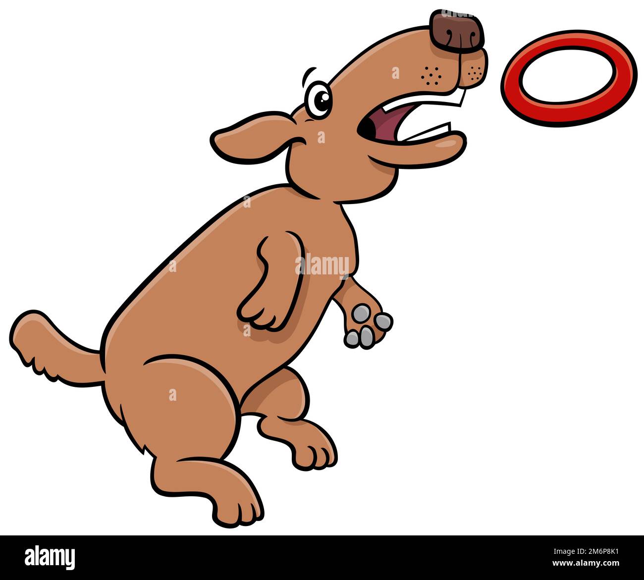Catching dog Cut Out Stock Images & Pictures - Alamy