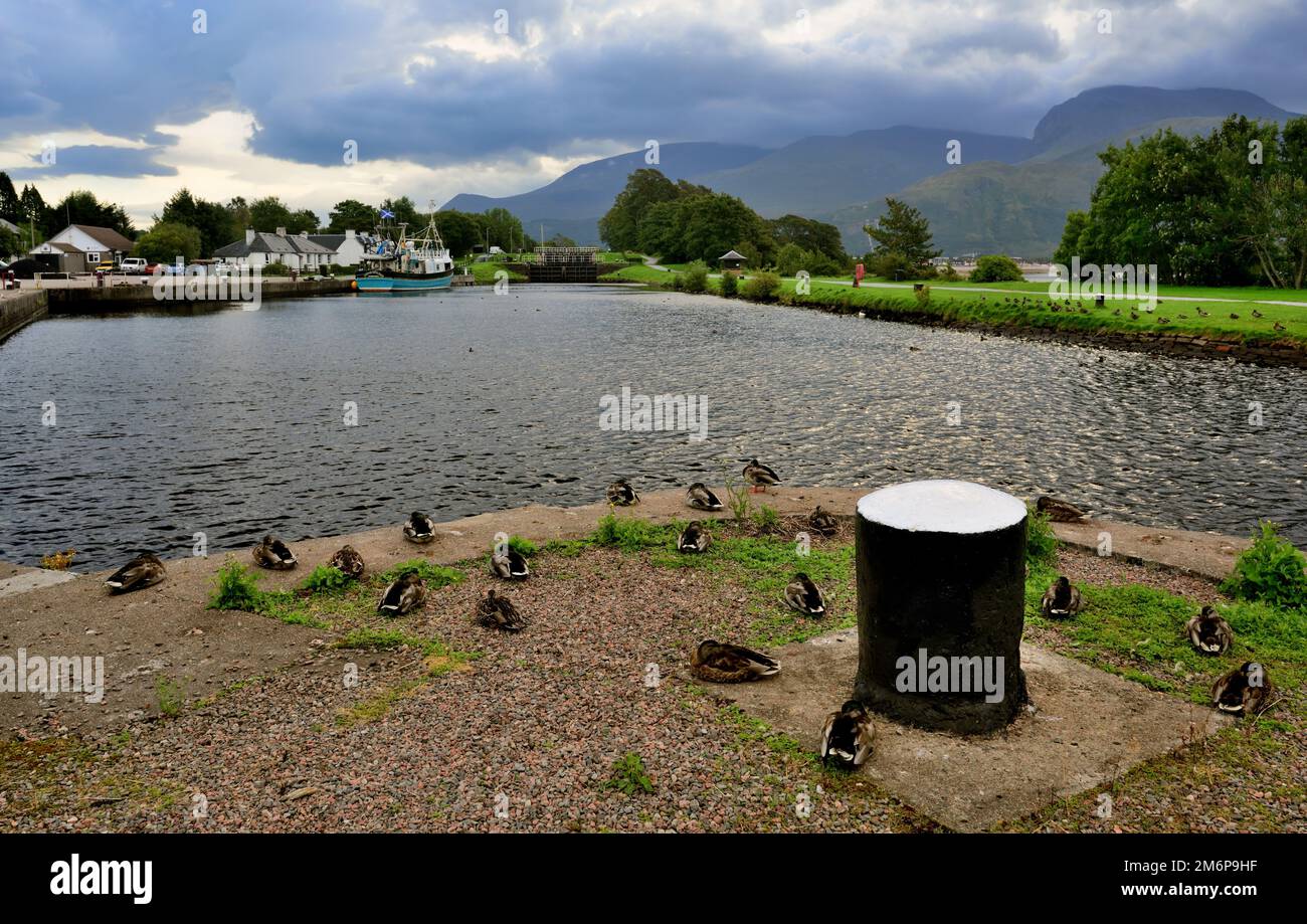 Corpach basin at the western end of the Caledonian canal, near Fort ...