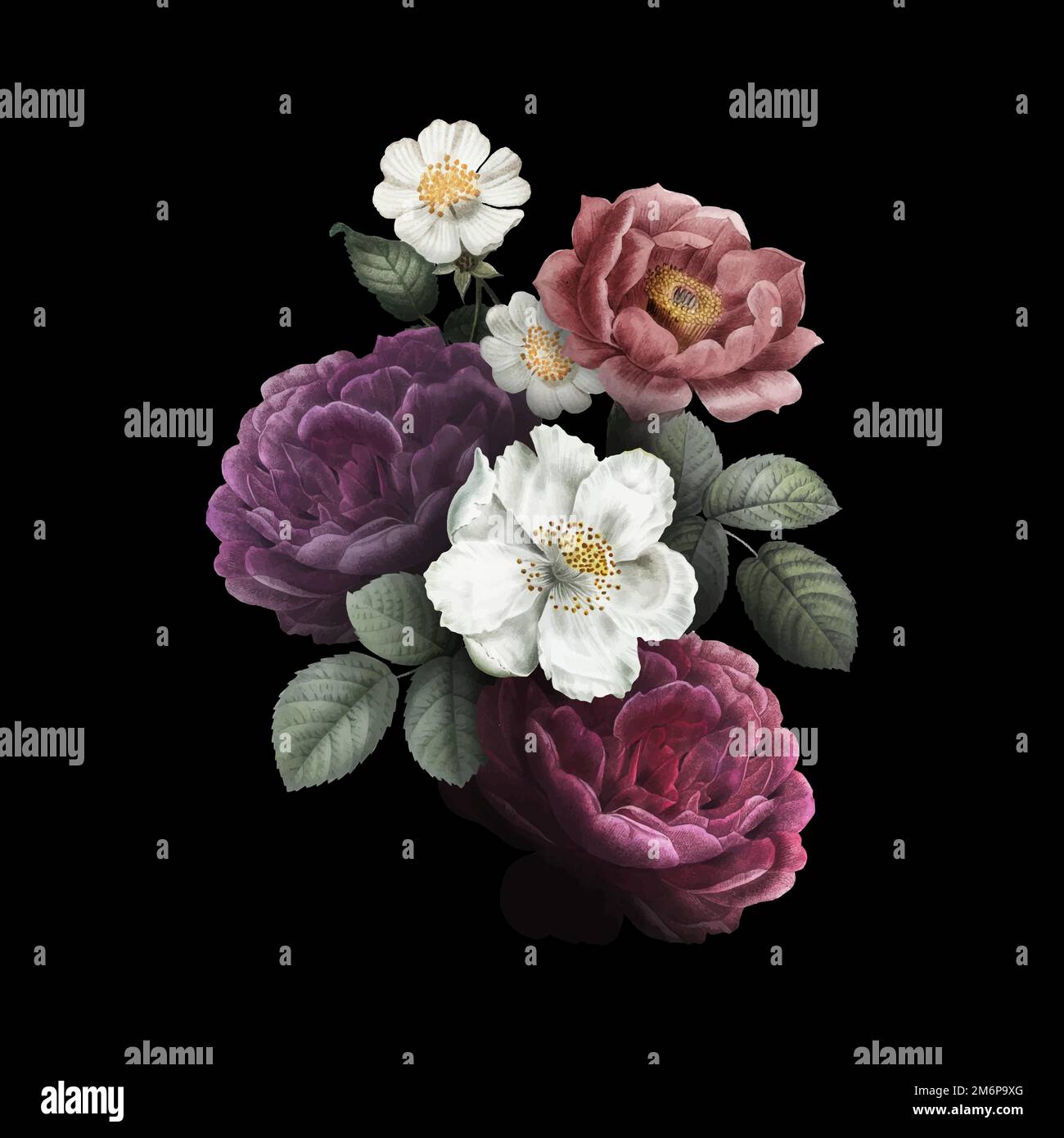 Beautiful field blooming purple Stock Vector Images - Alamy