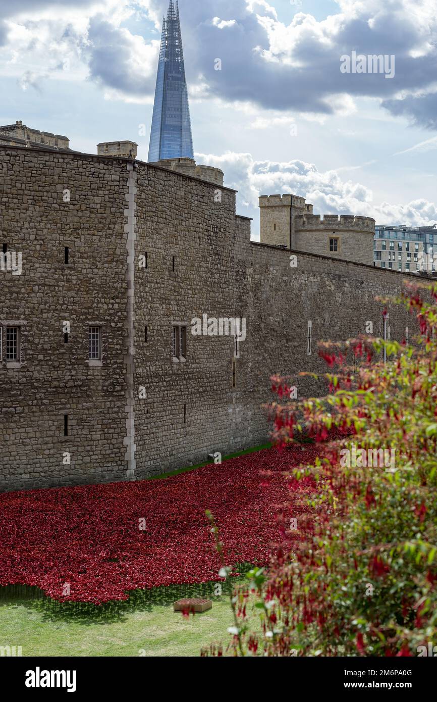 Poppy display hi-res stock photography and images - Alamy