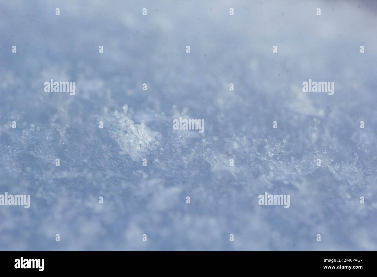 natural snowflakes on snow, photo of real snowflakes. Winter snow ...
