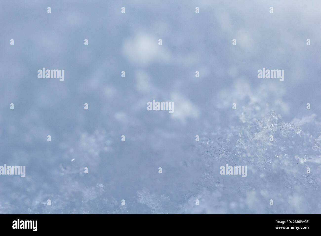 natural snowflakes on snow, photo of real snowflakes. Winter snow ...