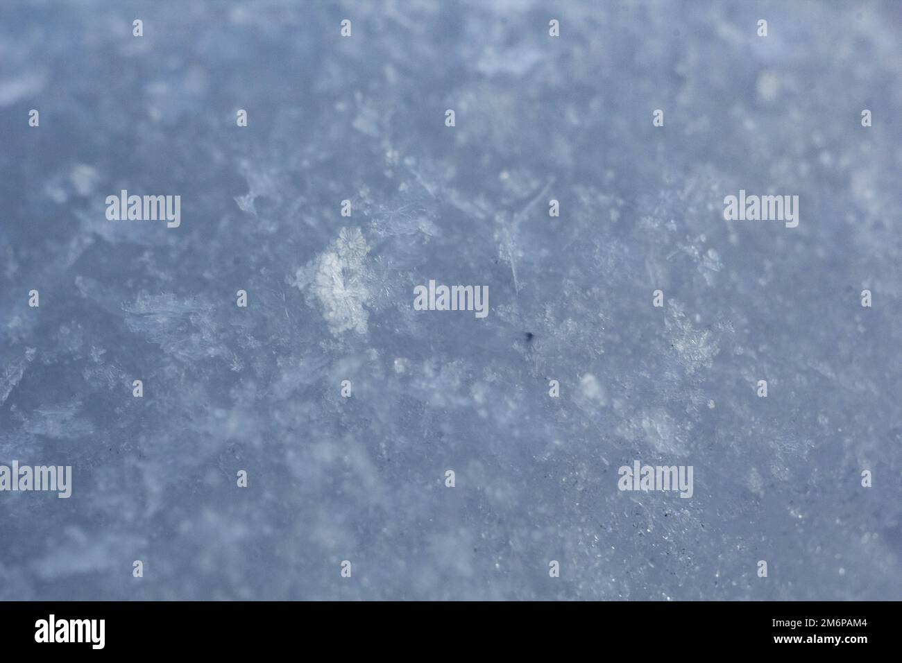 natural snowflakes on snow, photo of real snowflakes. Winter snow ...