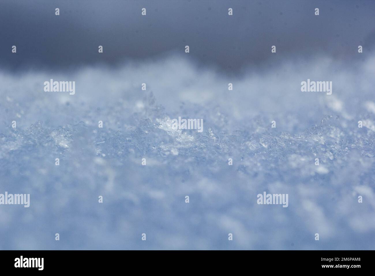 natural snowflakes on snow, photo of real snowflakes. Winter snow ...
