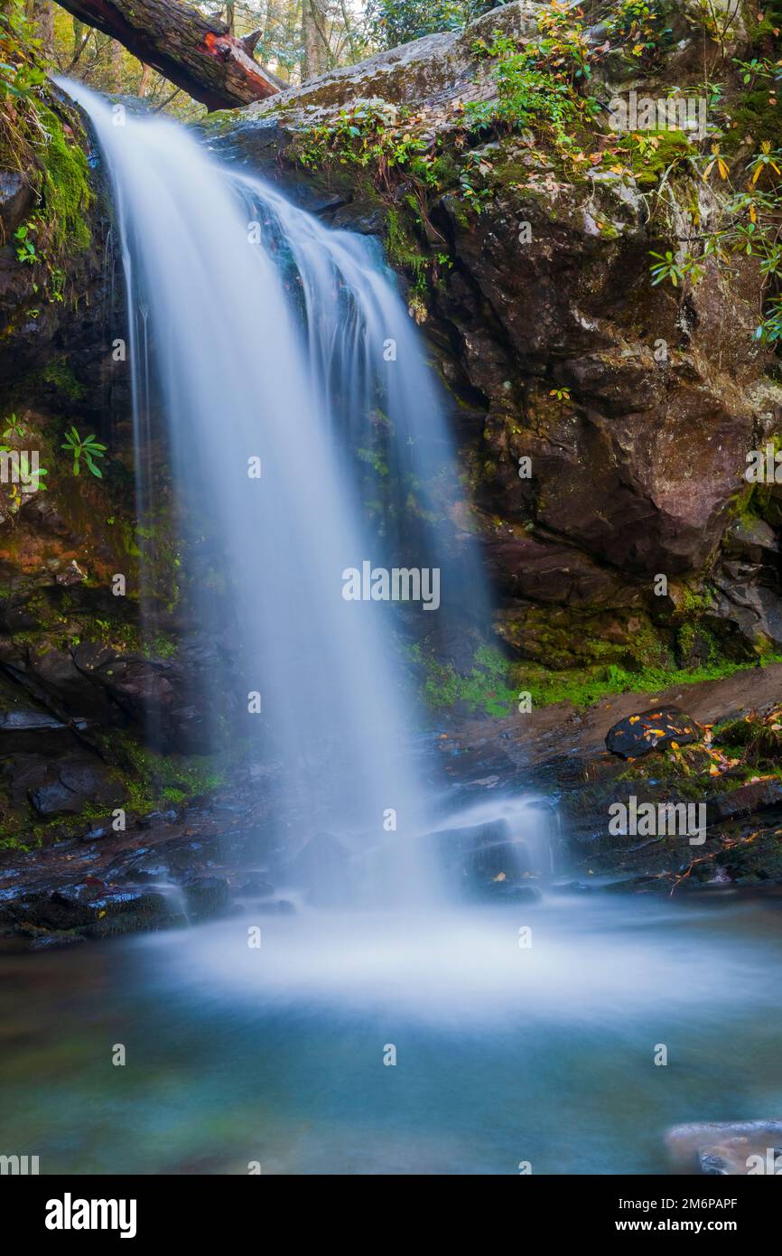 Grotto Falls in Great Smoky Mountains National Park, Tennessee Stock ...