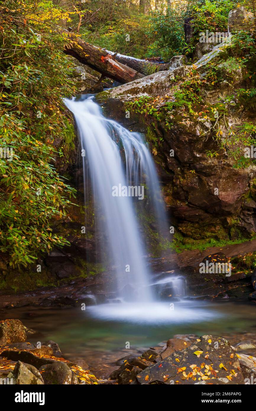 Grotto Falls in Great Smoky Mountains National Park, Tennessee Stock ...