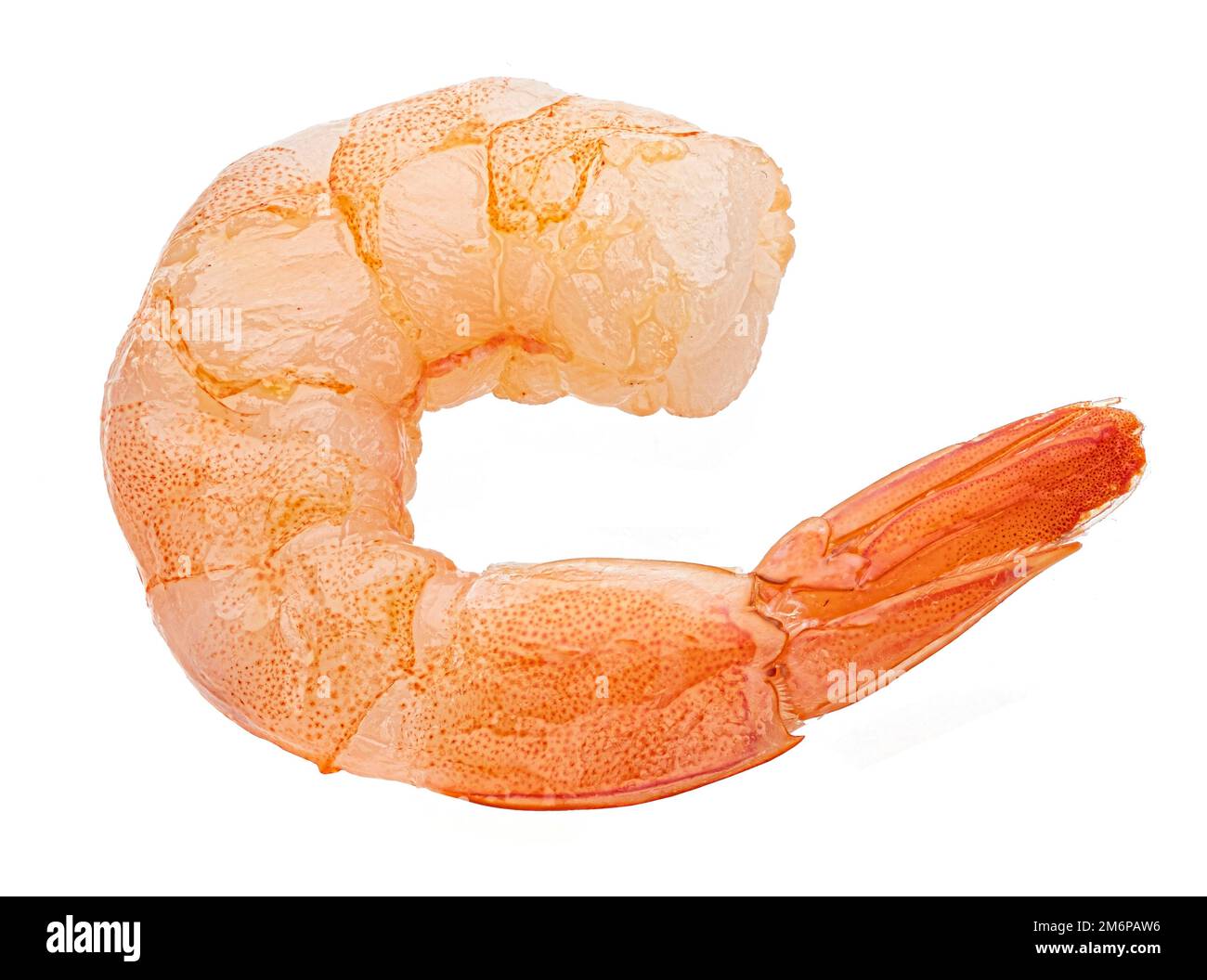 Shrimp. Prawn isolated on white background Stock Photo - Alamy