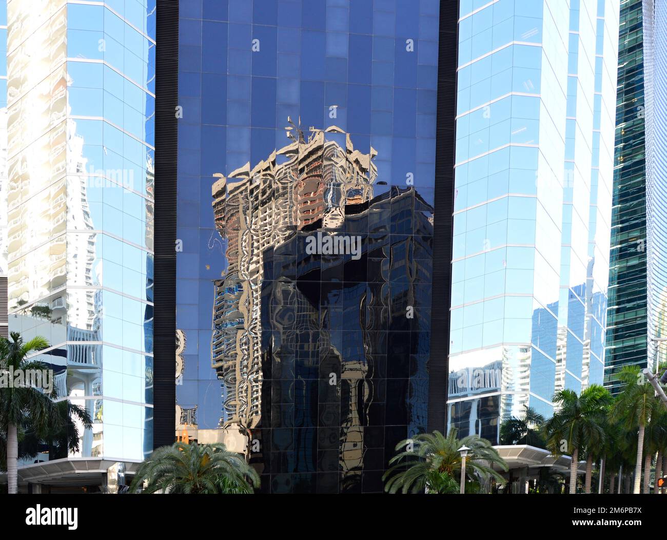 Palms in downtown miami hi-res stock photography and images - Alamy