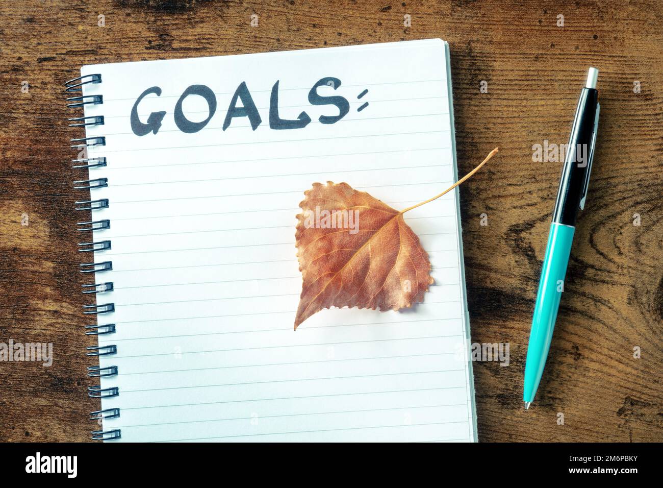 Plan for Autumn. Goals, the handwritten word, with a vibrant fall leaf ...