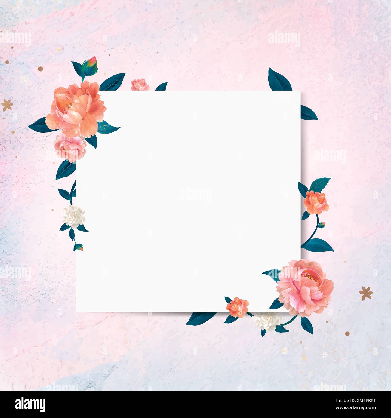 Blank square floral frame template vector Stock Vector Image & Art - Alamy