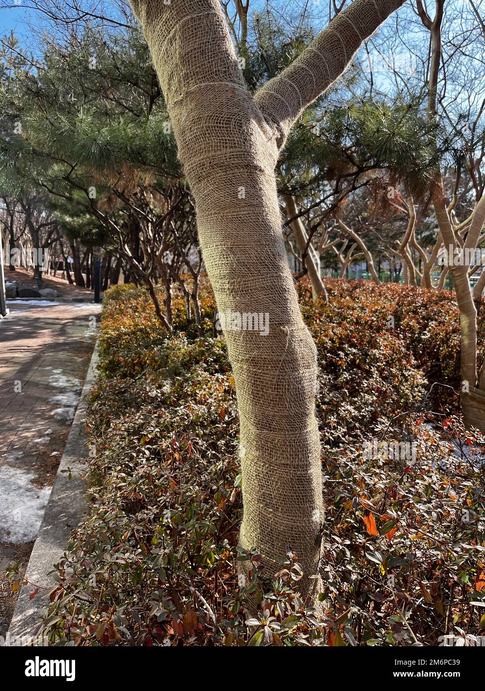 Thermal resistance hi-res stock photography and images - Alamy