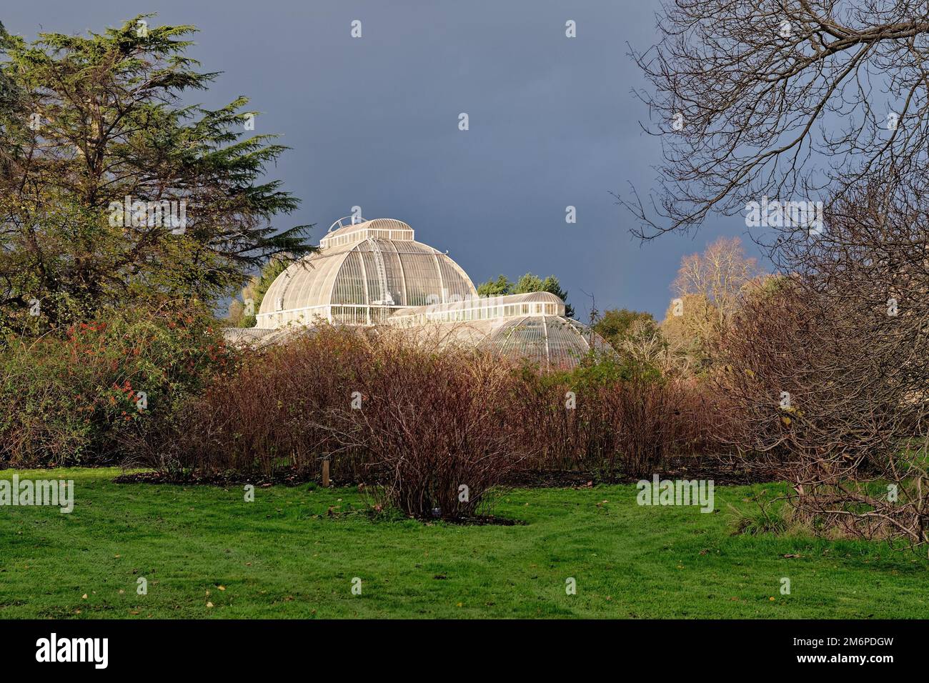 The Palm House illuminated by a low winter sunset in the Royal ...