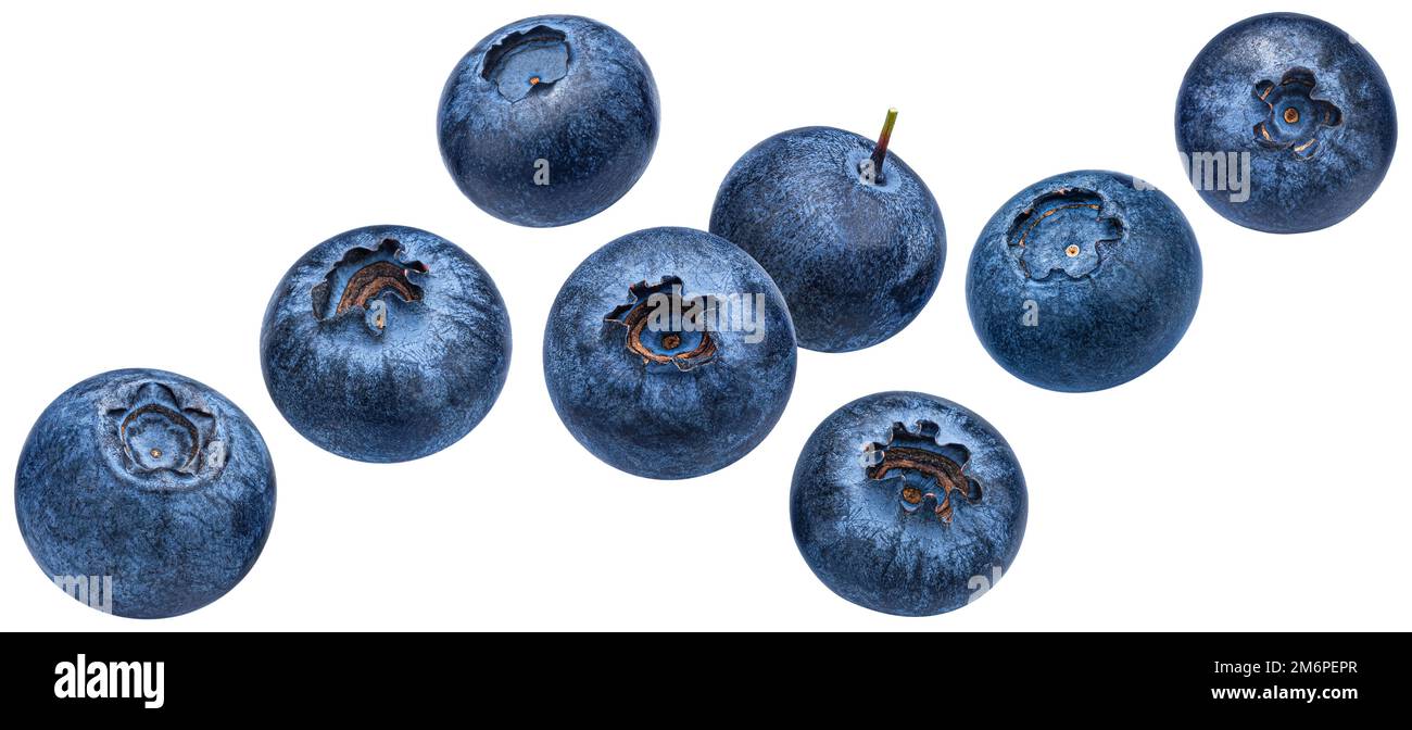 Falling blueberry isolated on white background Stock Photo - Alamy
