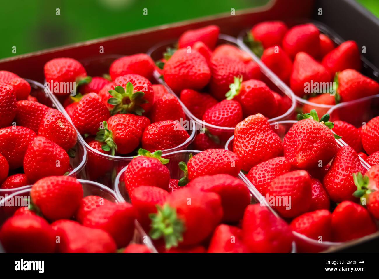 Strawberries packaged in box, sweet ripe perfect strawberry harvest ...