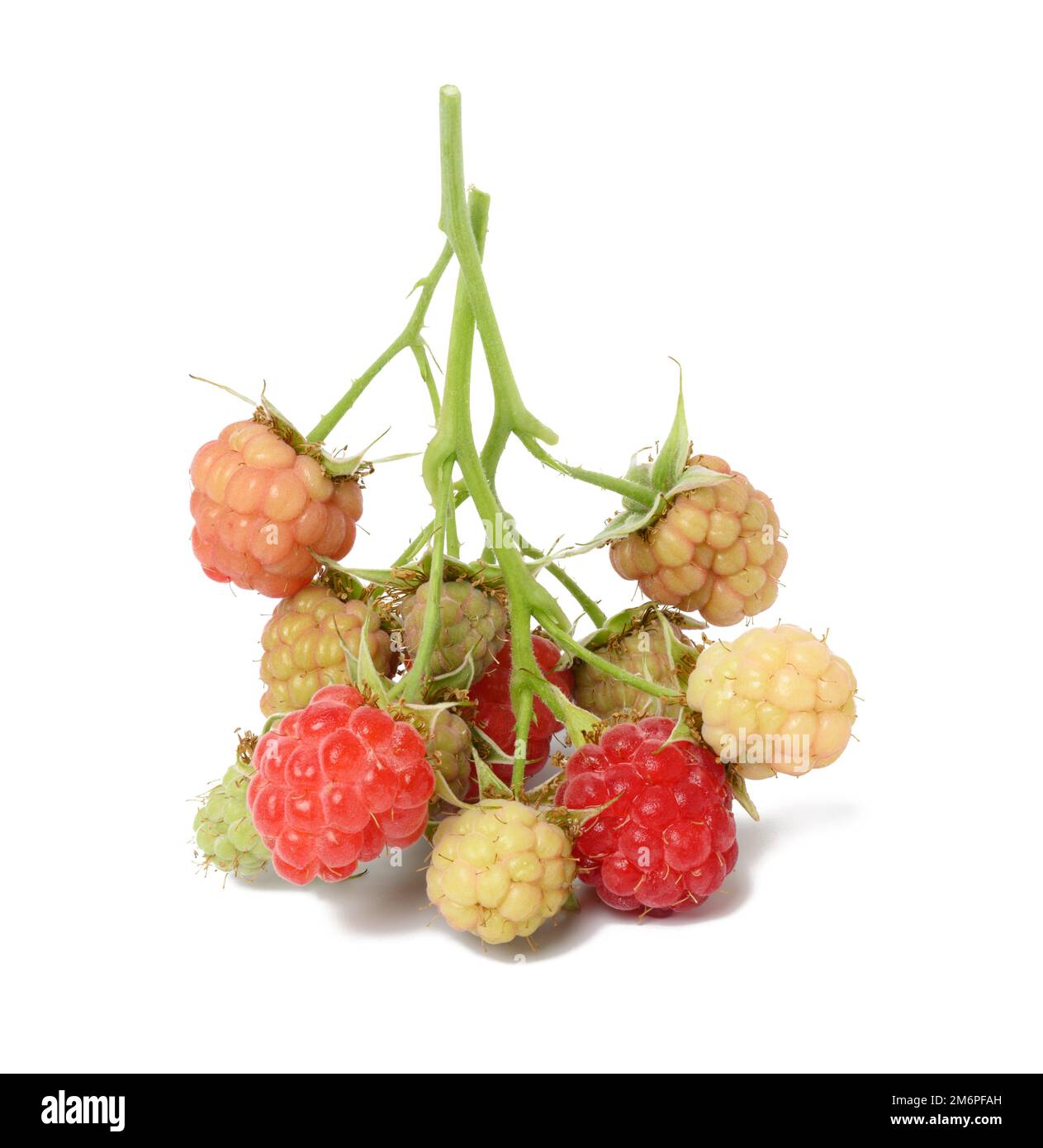 Pile fresh ripe raspberries Cut Out Stock Images & Pictures - Alamy