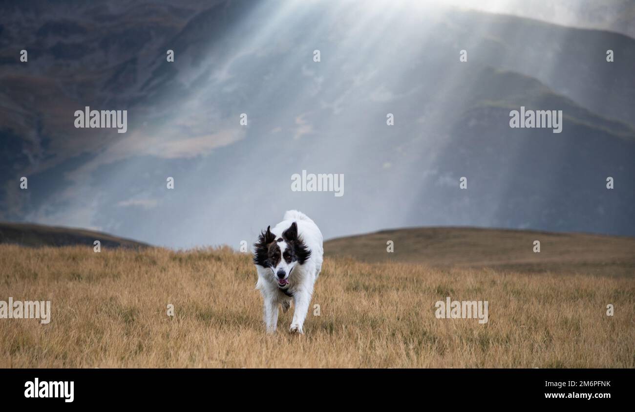 Heavenly sunset hi-res stock photography and images - Alamy