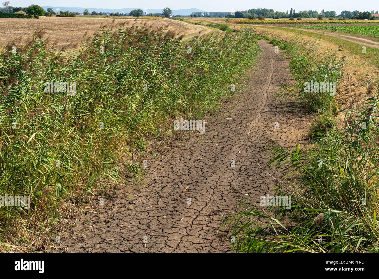Dried up stream in the Hessian Ried Stock Photo - Alamy