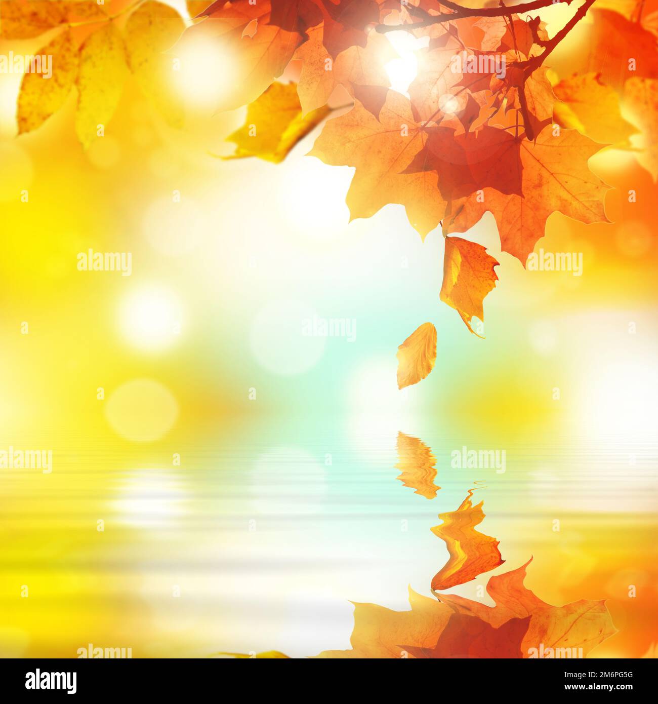 Bright falling leaves hi-res stock photography and images - Alamy