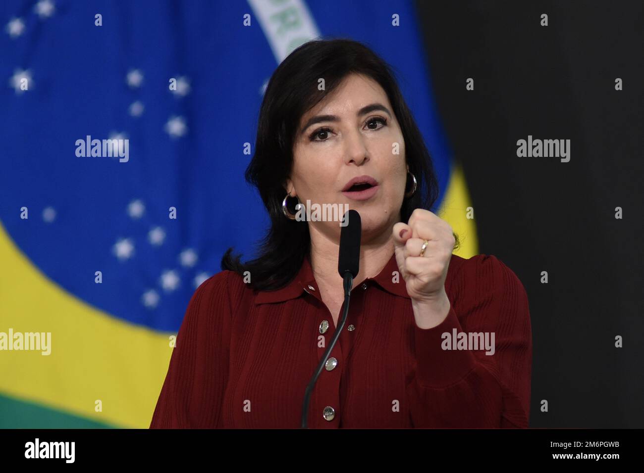 BRASÍLIA, DF - 05.01.2023: SIMONE TEBET POSSE MINISTRA PLANEJAMENTO - Photo, Minister Simone ...