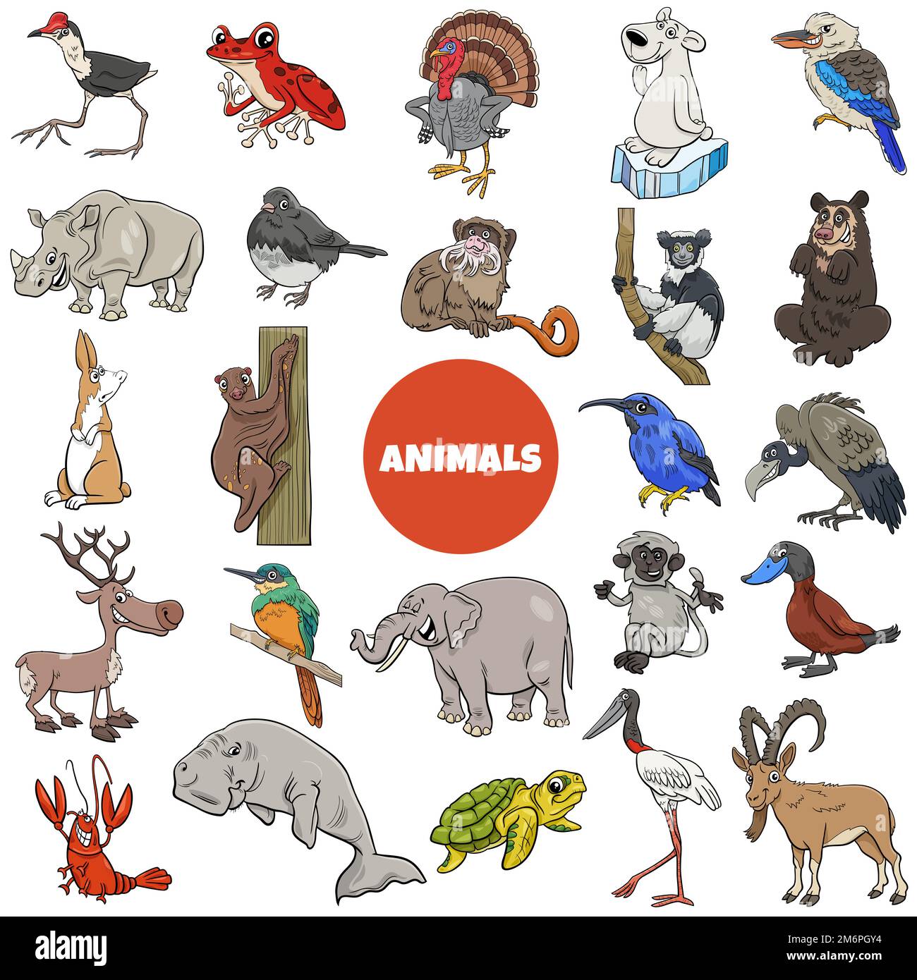 Cartoon wild animal species characters big set Stock Photo - Alamy
