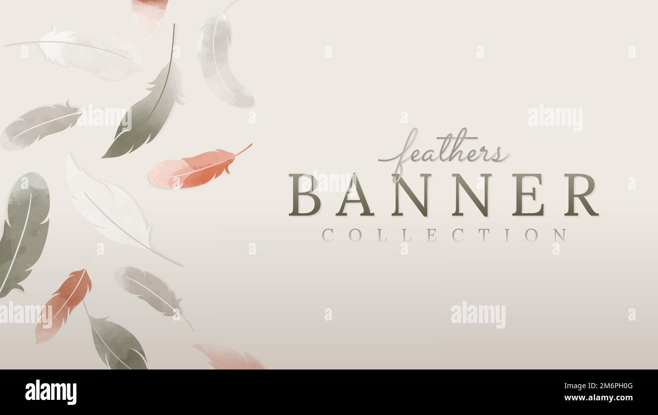 Colorful lightweight feather banner vector Stock Vector Image & Art - Alamy