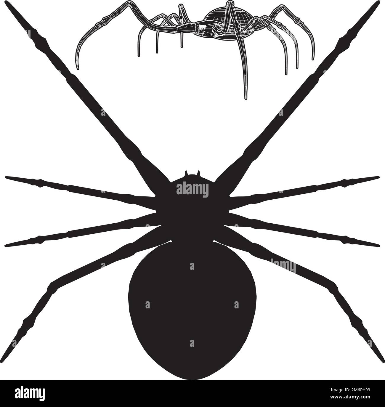 Creepy spider graphic hi-res stock photography and images - Alamy