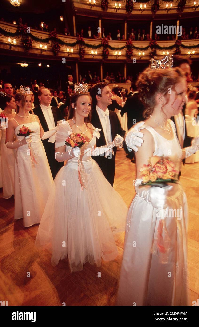 Austria. Vienna. The balls season. Couples of beginners at the ball of ...