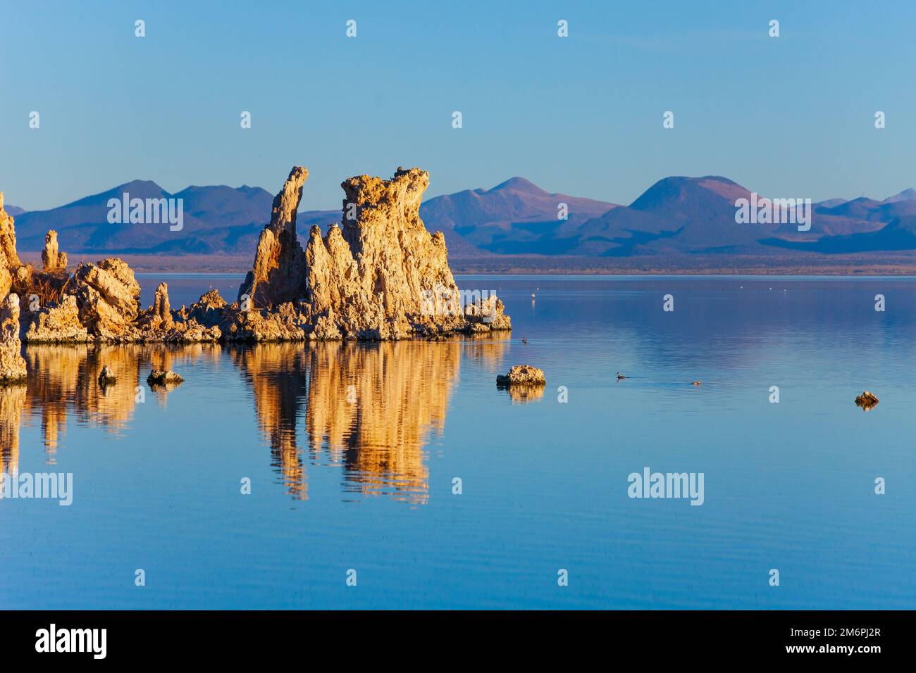 Birds and towers hi-res stock photography and images - Alamy
