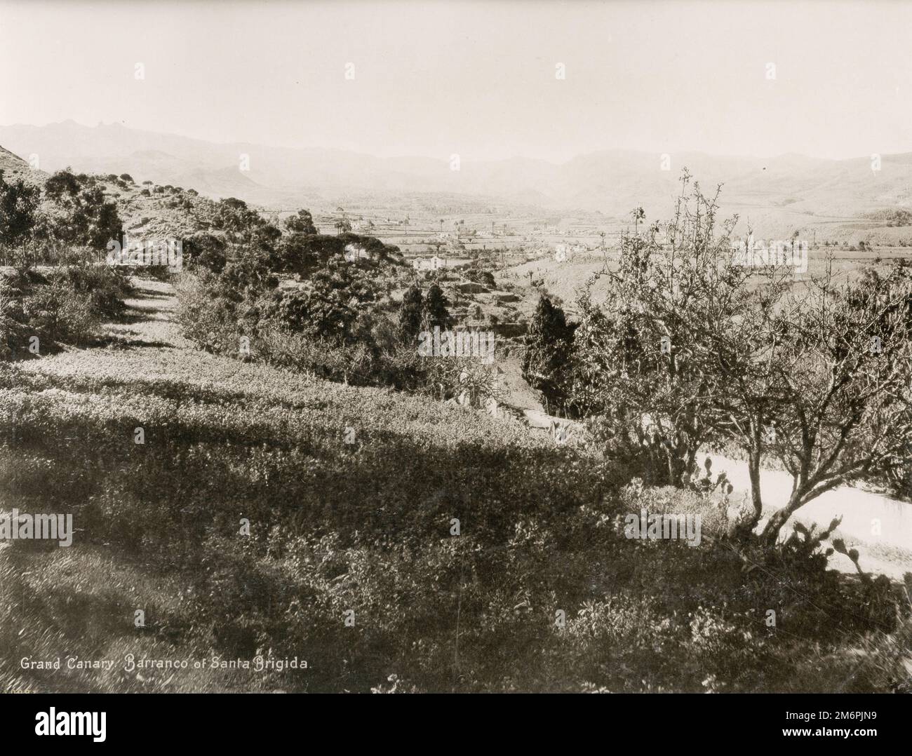 Barranco of Santa Brigida, Gran Canaria, Canary Islands, Spain Stock ...