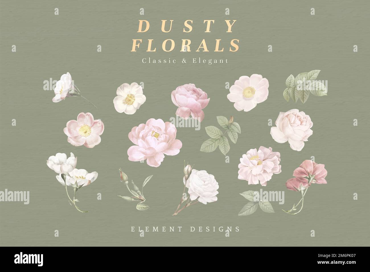 Elegant floral design collection vector Stock Vector Image & Art - Alamy