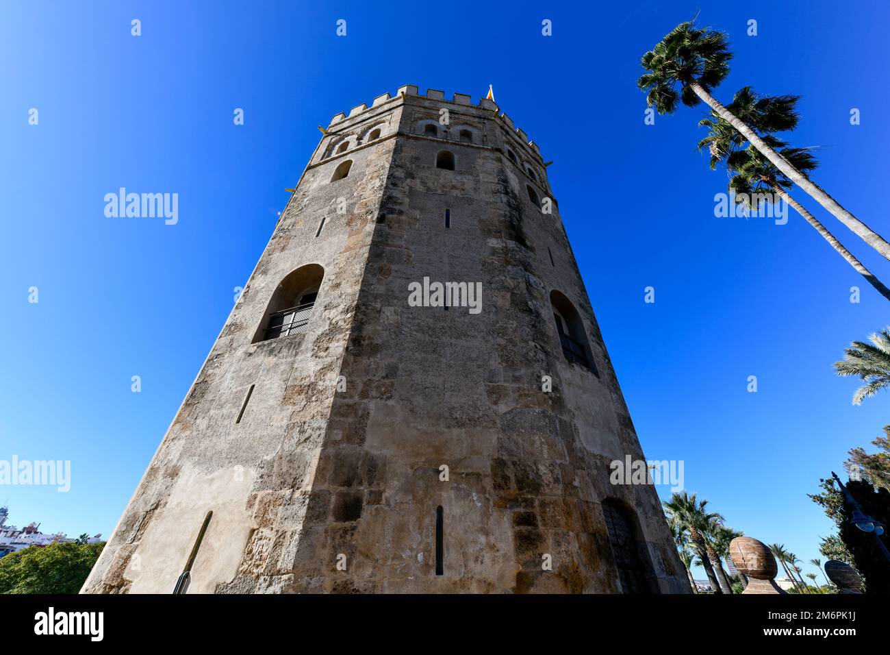 Golden tower or Torre del Oro with palm trees, a medieval military ...
