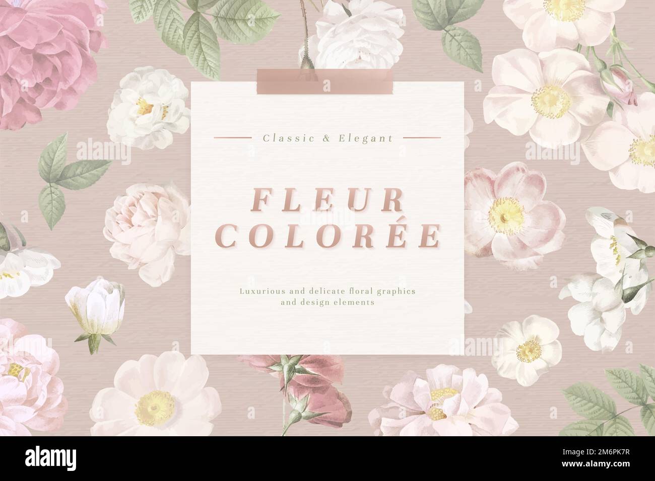 Elegant floral design wallpaper vector Stock Vector Image & Art - Alamy