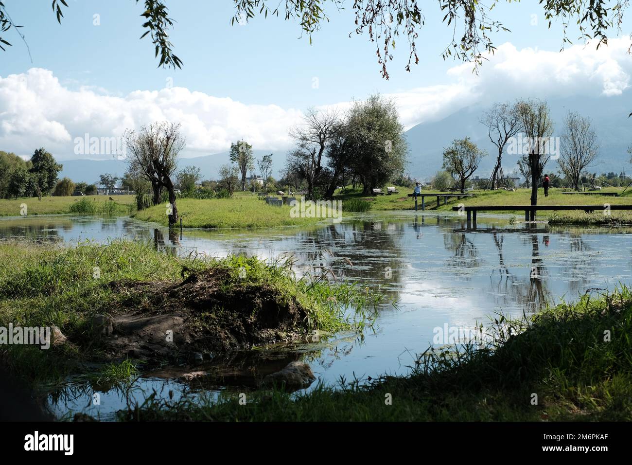 The natural outdoor park. Water pond reflecting blue sky and beautiful ...