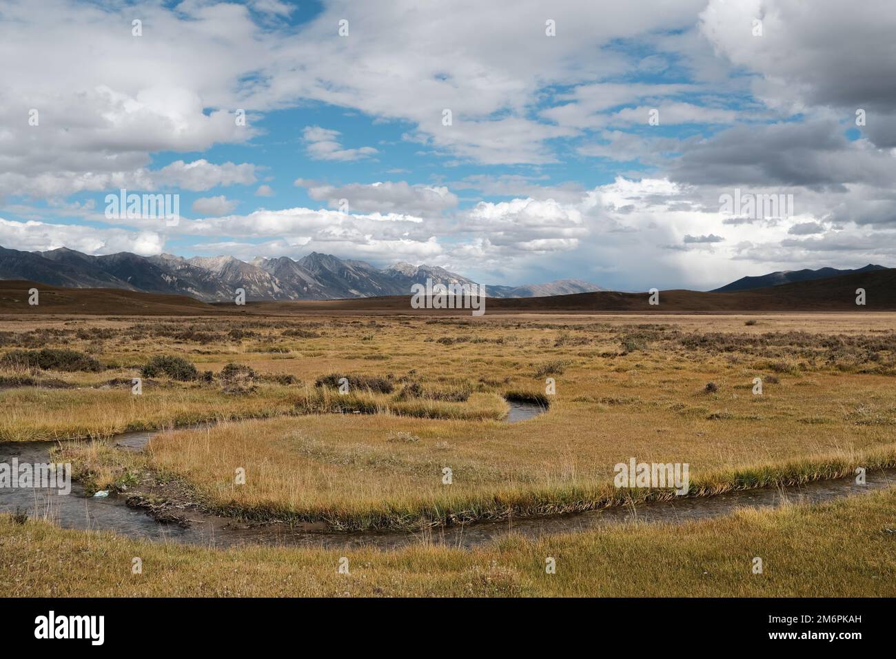 The panoramic view of grassland and mountain. Blue sky with clouds ...