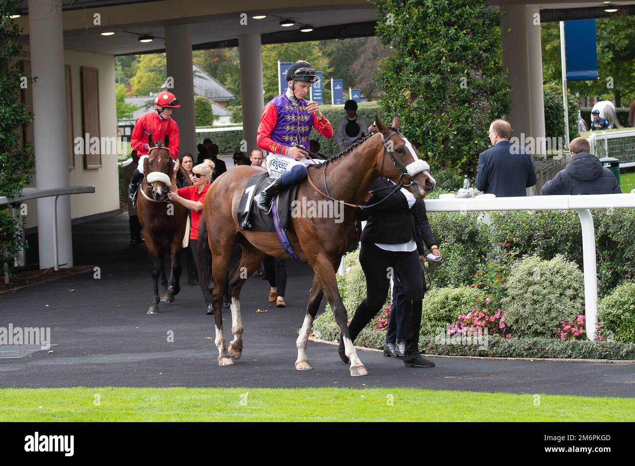 Ascot, Berkshire, UK. 1st October, 2022. Horse King's Lynn owned by The ...