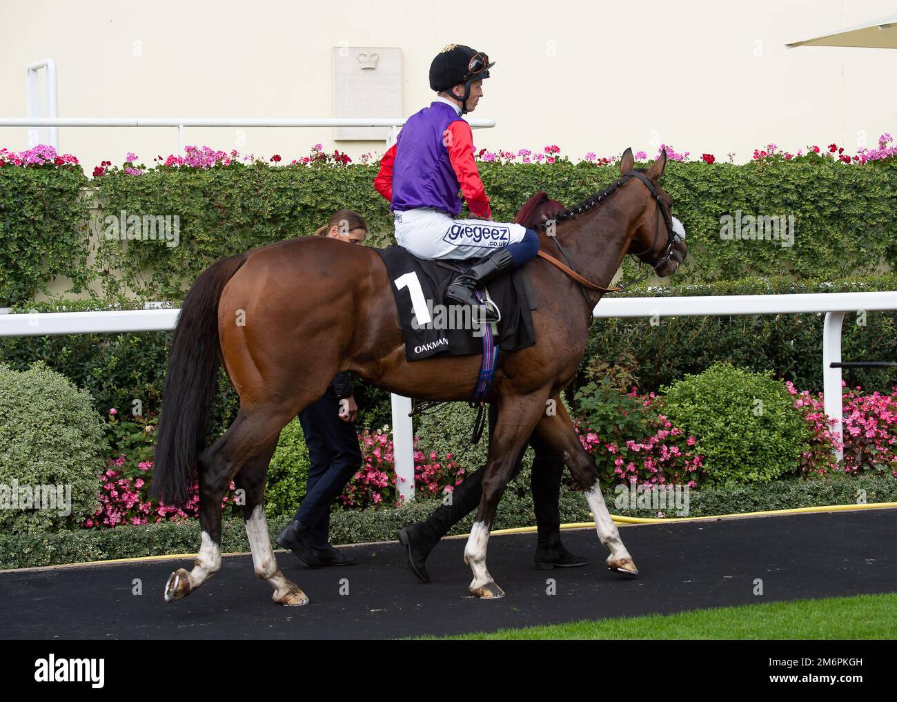 Ascot, Berkshire, UK. 1st October, 2022. Horse King's Lynn owned by The ...