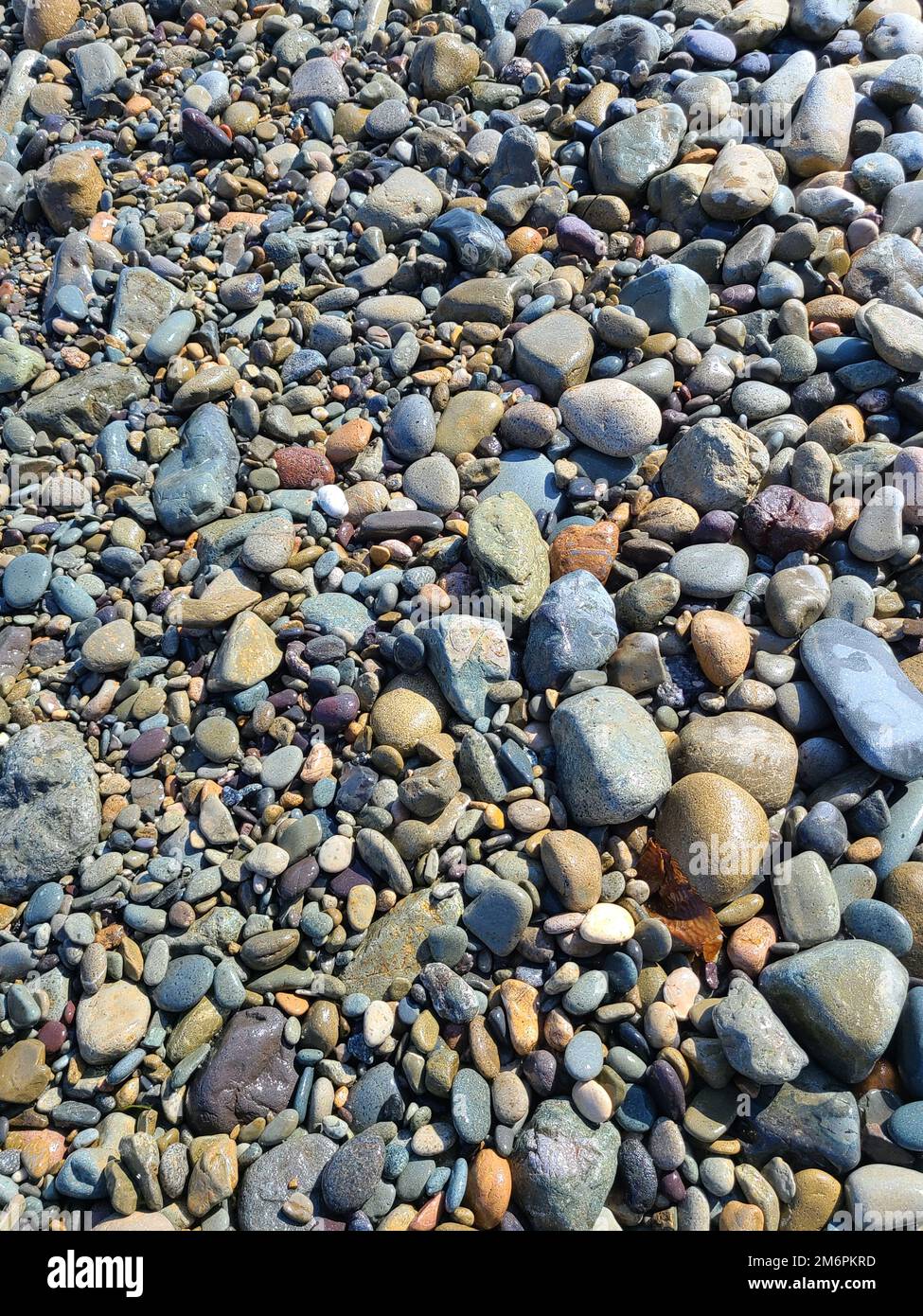 Colorful rocks on the shore in Catalina Stock Photo - Alamy