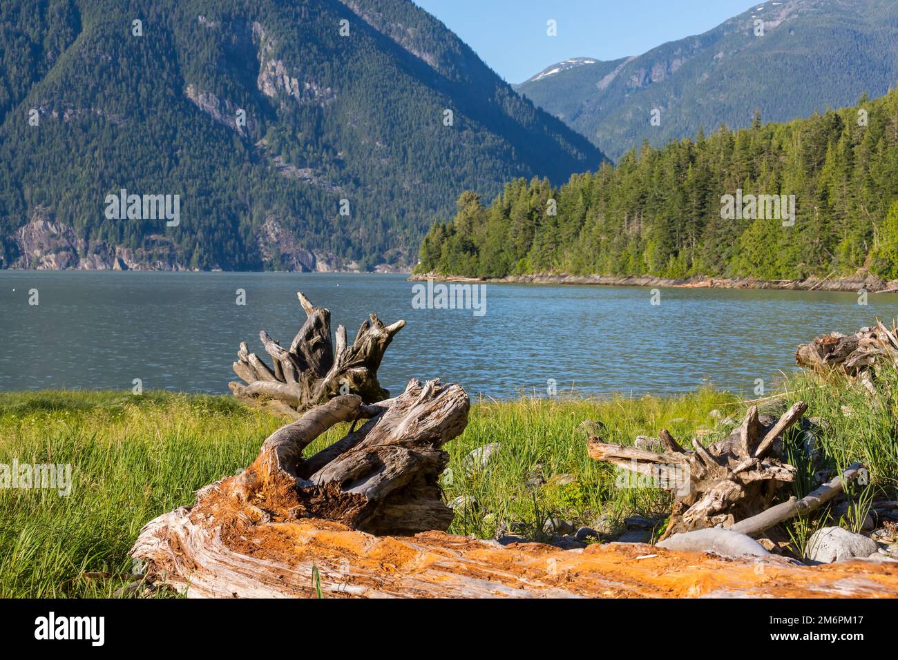 Bella coola valley hi-res stock photography and images - Alamy