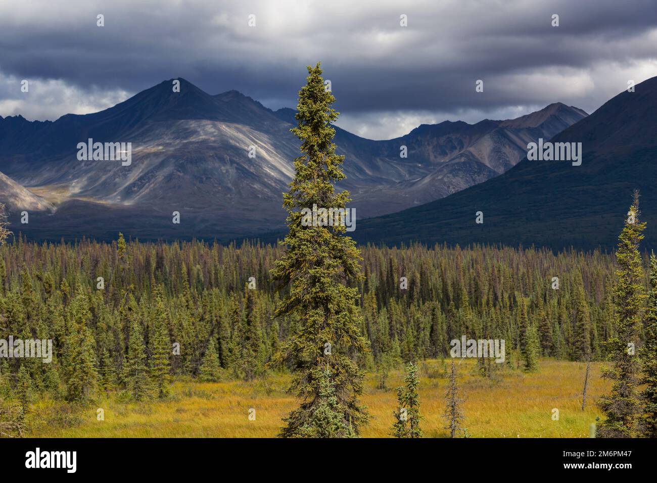 Mountains in Alaska Stock Photo - Alamy