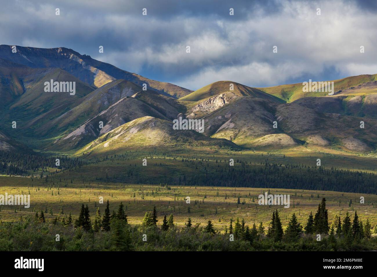 Mountains in Alaska Stock Photo - Alamy