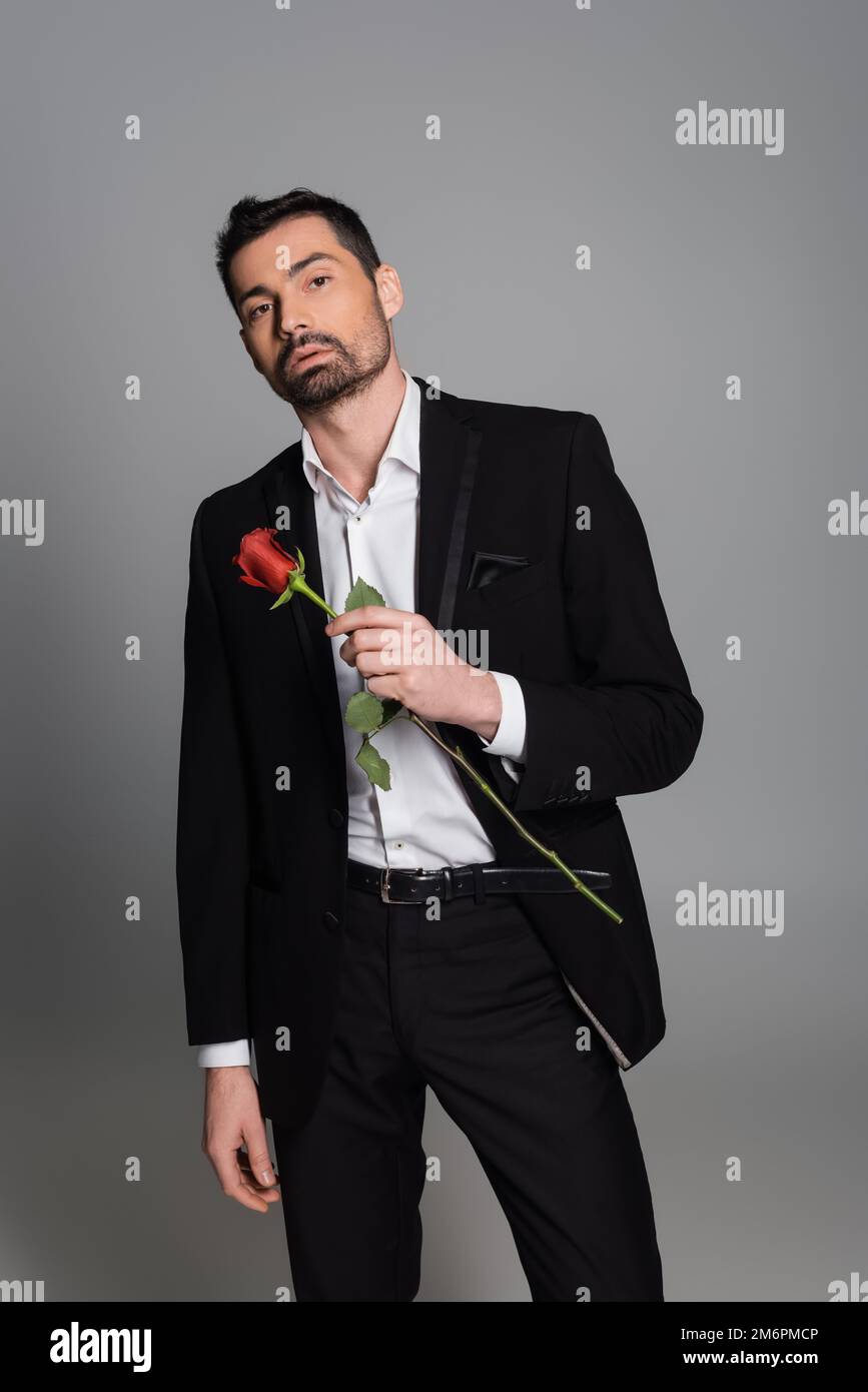 Brunette man in suit holding rose and looking at camera isolated on ...