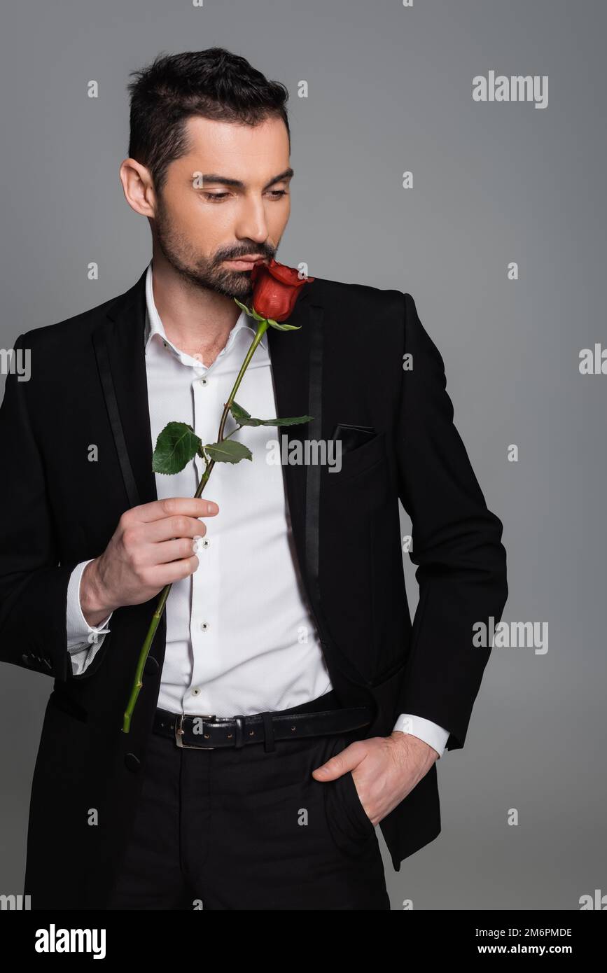 Elegant man in suit holding red rose isolated on grey,stock image Stock ...