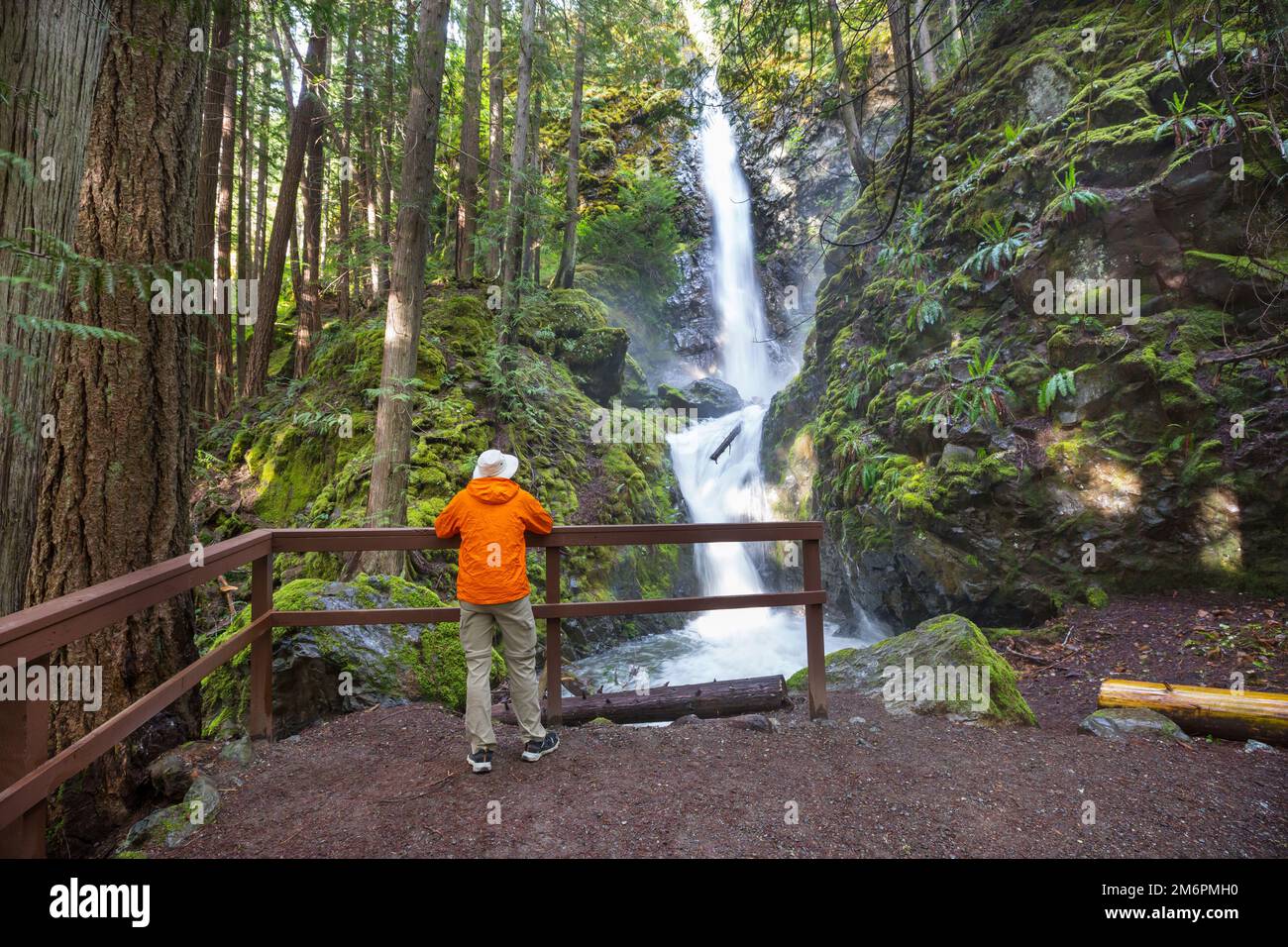 Hiker near waterfall Stock Photo - Alamy