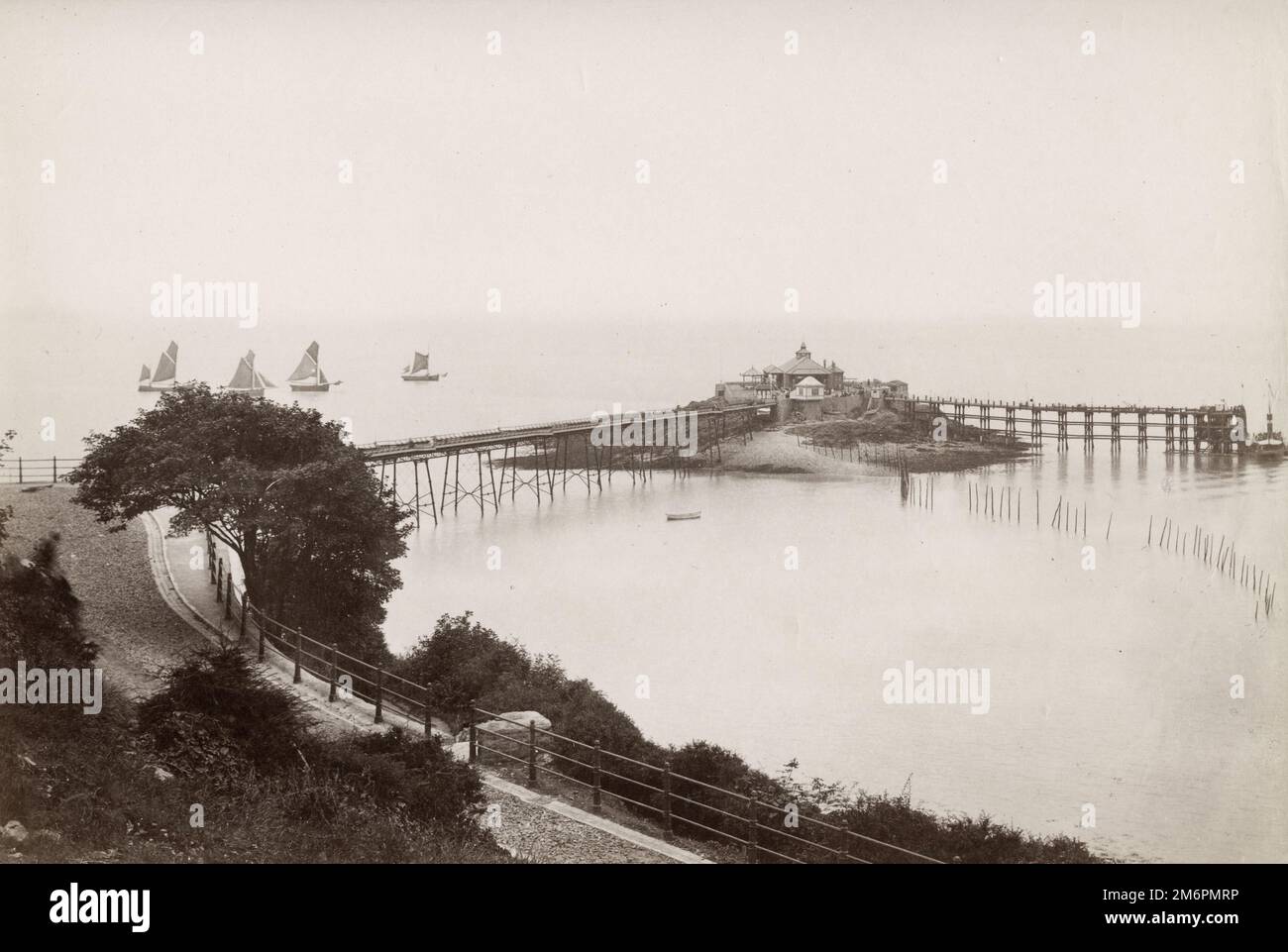 1880 mare hi-res stock photography and images - Alamy