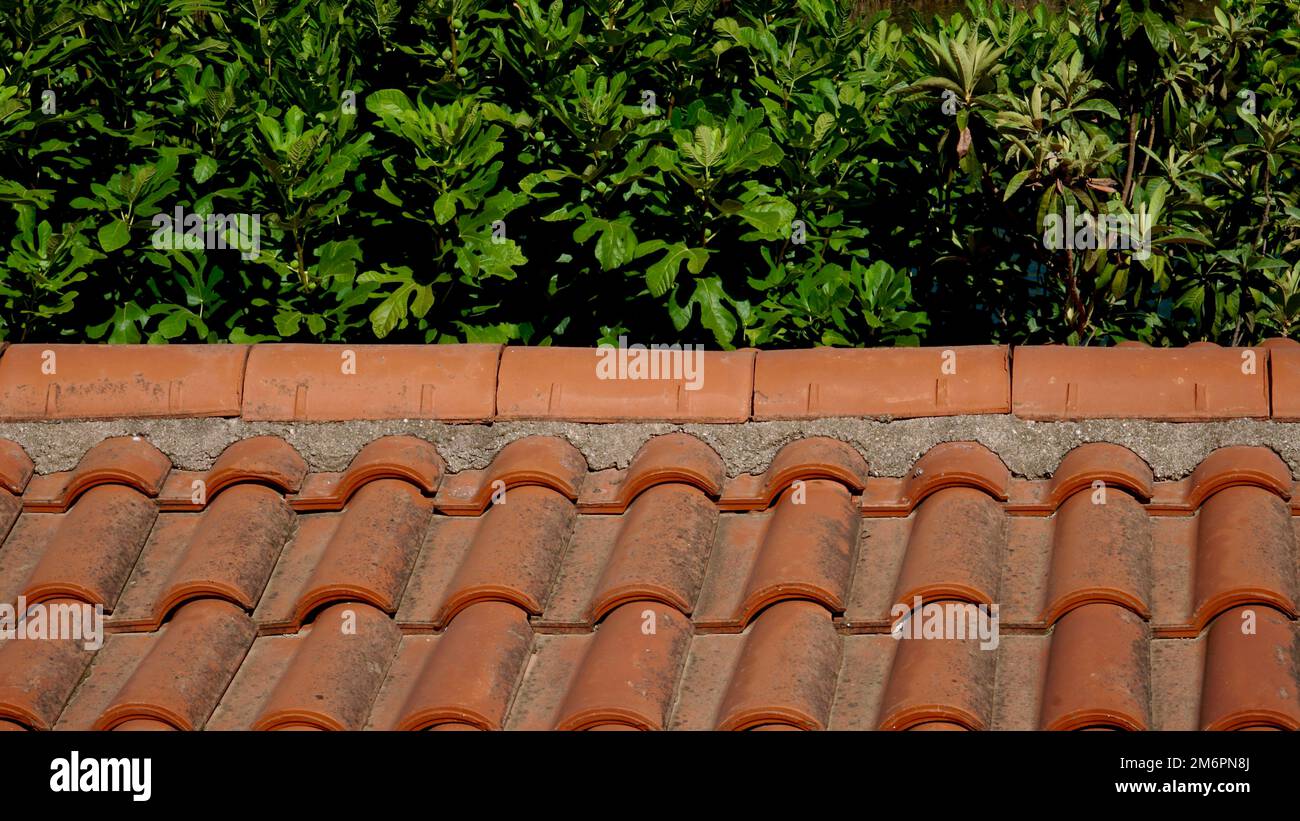 Roof tile and green tree texture behind it Stock Photo - Alamy